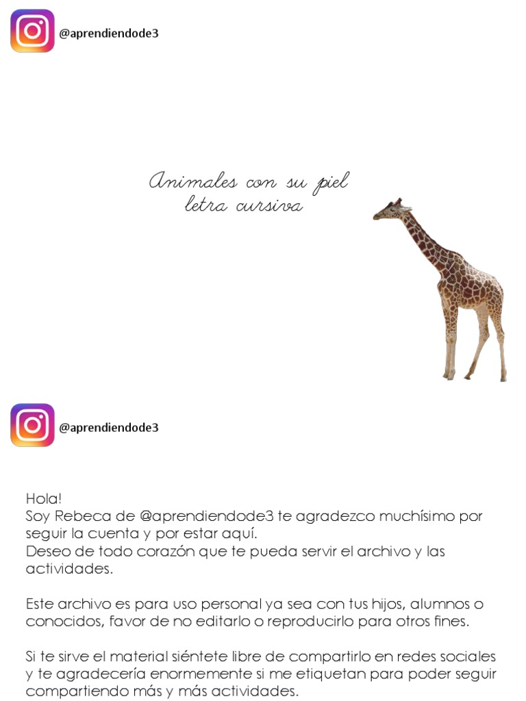 Relaci - N de Animales Con Su Tipo de Piel - Aprendiendode3 | PDF