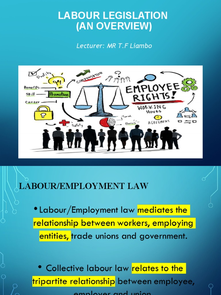 Lecture 2 Legislation 2022 | PDF | Labour Law | Occupational Safety And ...