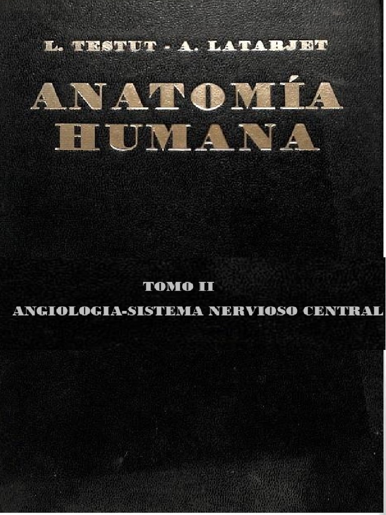 Tratado de Anatomia Humana Testut-Latarjet Tomo II | PDF