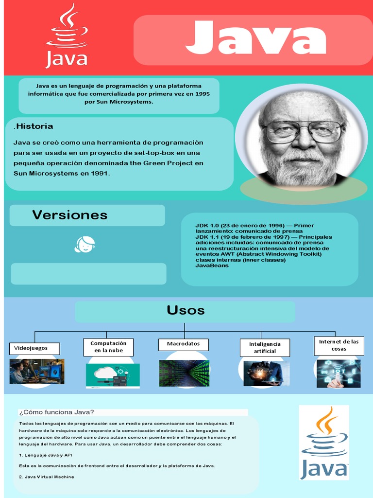 INFOGRAFIA LENGUAJE JAVA (1) | PDF