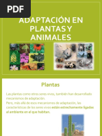 Adaptaciones de Las Plantas | PDF