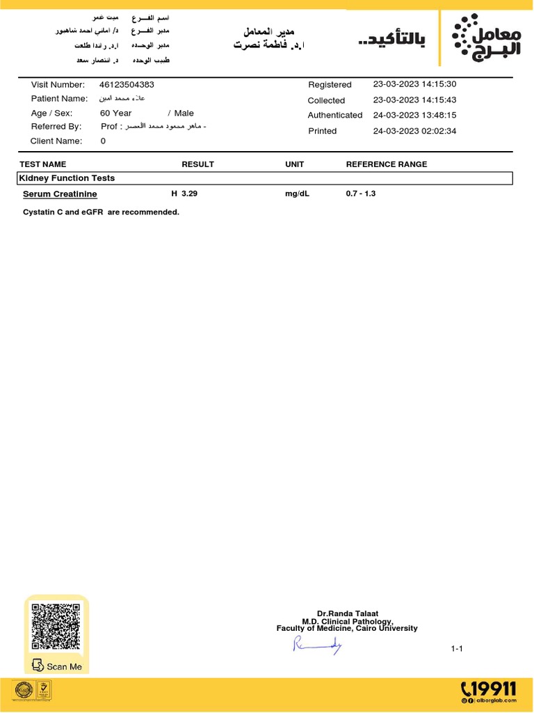 Kidney Function Tests: Test Name Result Unit Reference Range | PDF ...