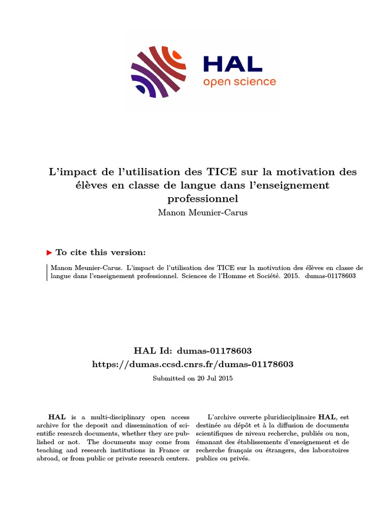 Tice Motivation | PDF