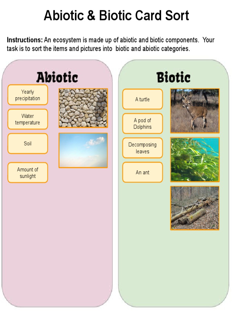 Abiotic and Biotic Card Sort Activity | PDF