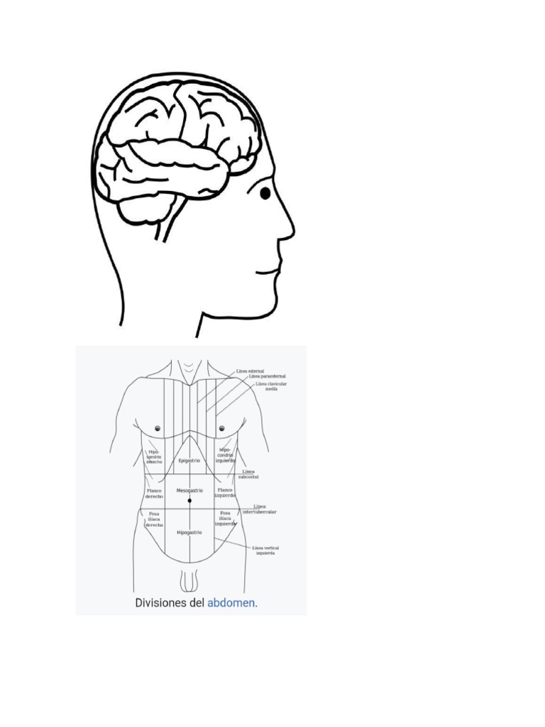 Biologia PDF