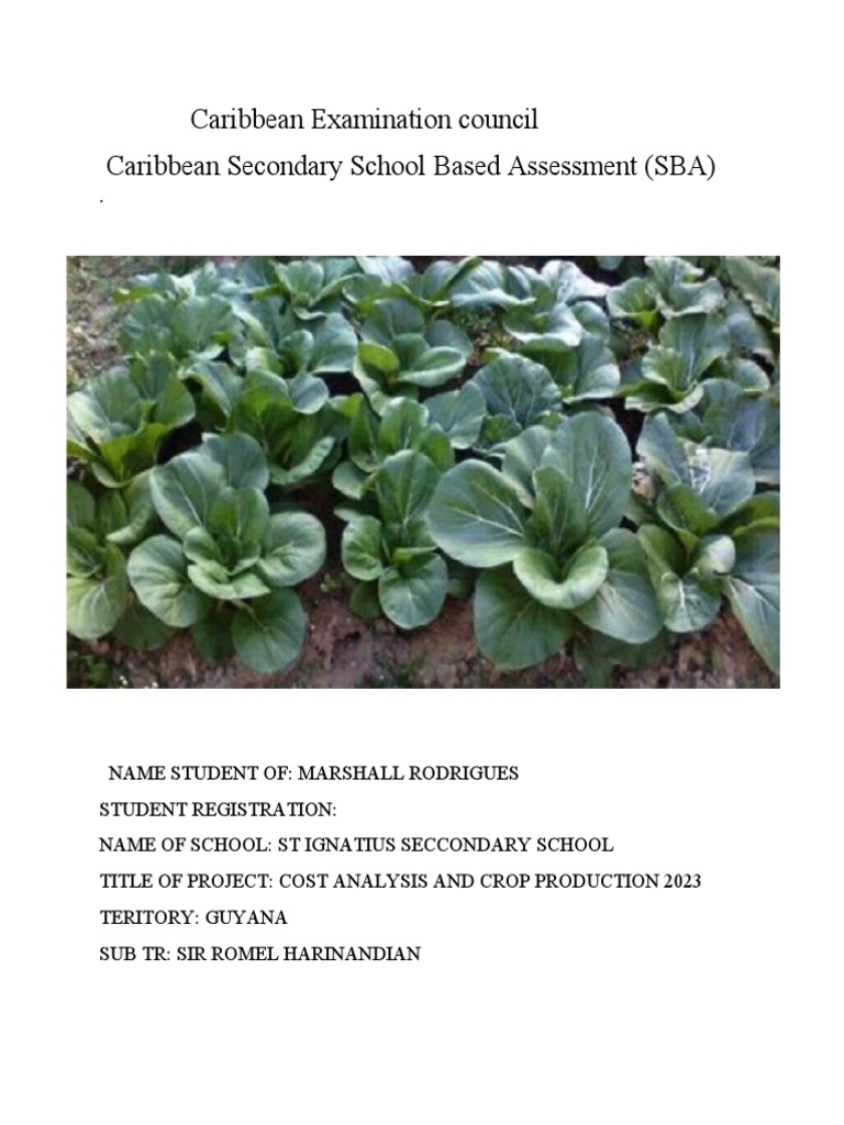 Marshall.R Agricultural Science SBA | PDF | Mulch | Vegetables
