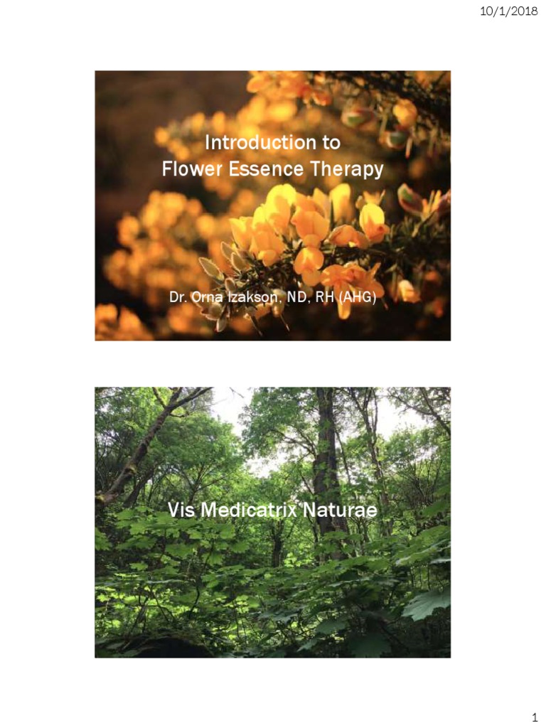 Introduction To Flower Essence Therapy: Dr. Orna Izakson, ND, RH (AHG ...