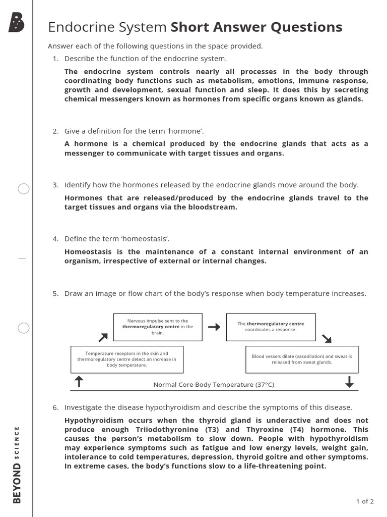 Endocrine System Short Answer Questions - LA - Answers | PDF | Hormone | Endocrine System