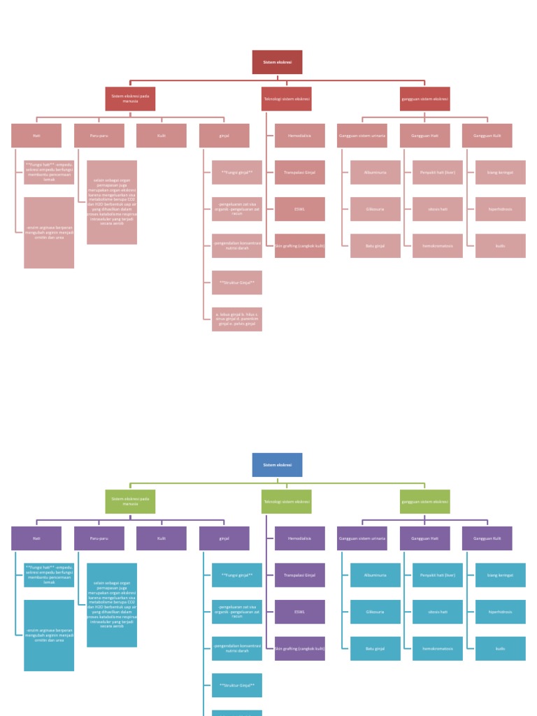 bio mind mapping | PDF