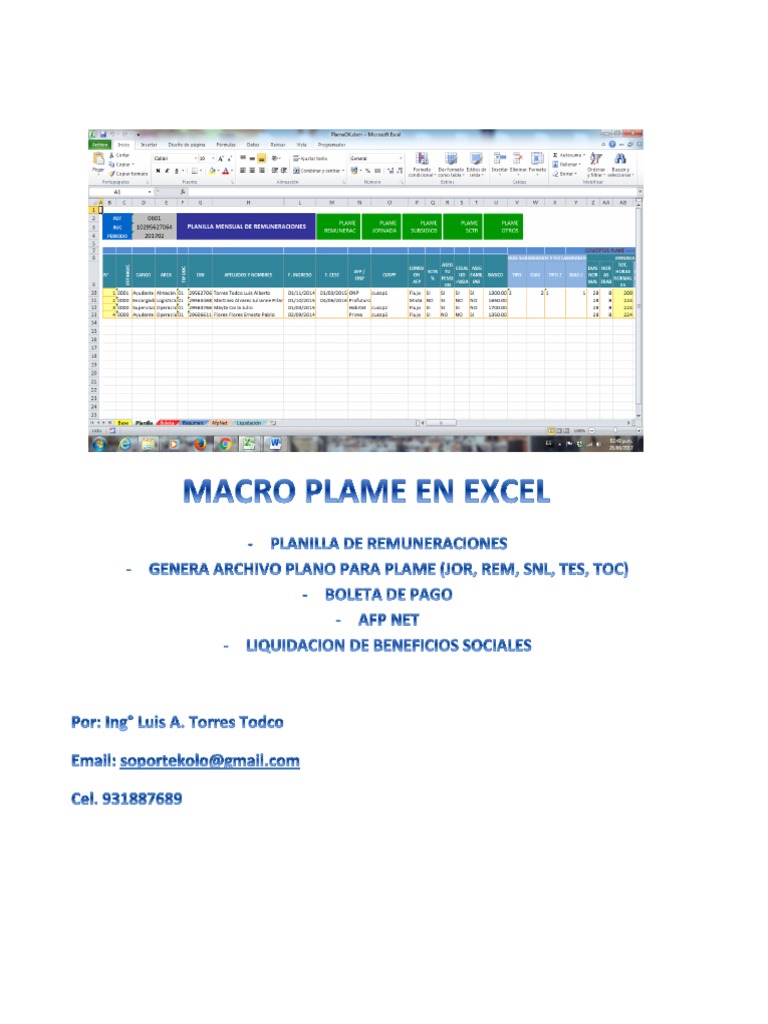 Macro PLAME para Boletas de Pago en Excel | PDF | Macro (informática ...