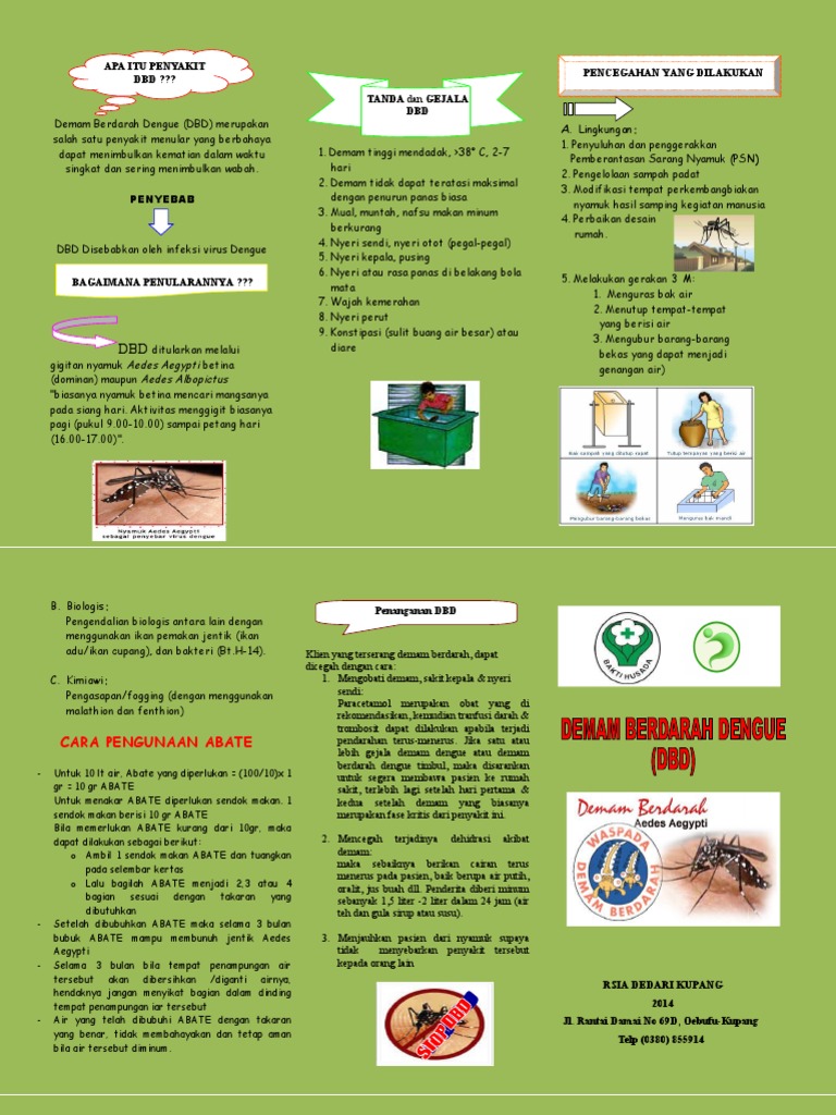 Leaflet DBD | PDF