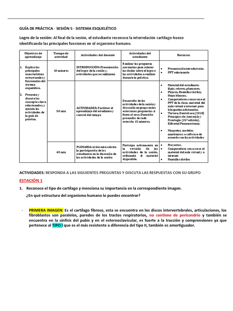 Guia - Tema 5 PDF | PDF | Hueso | Cartílago Guia - Tema 5 PDF | PDF | Hueso | Cartílago