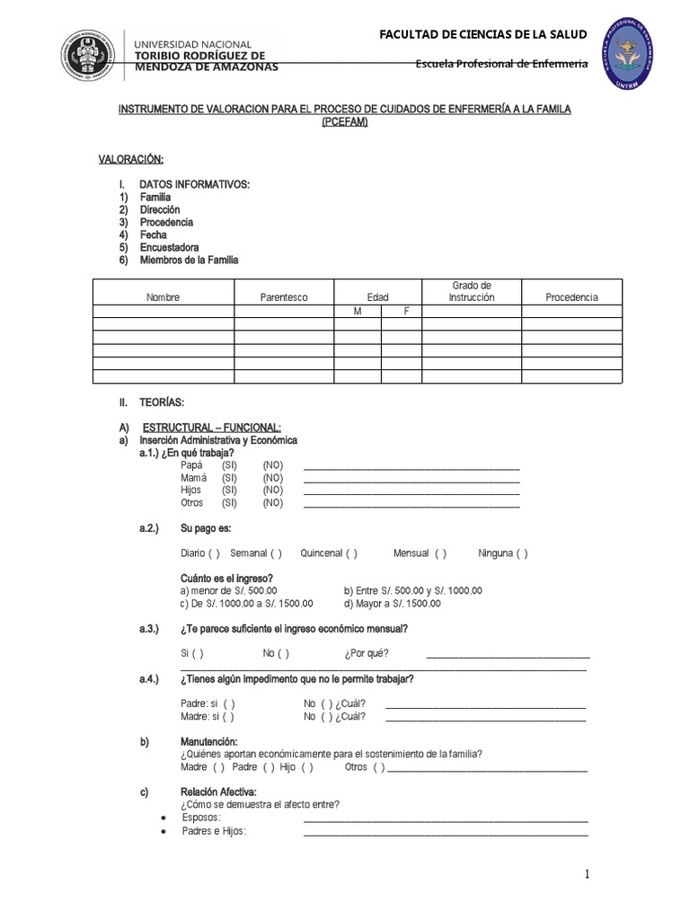 Instrumento de valoración familiar PCEFAM | PDF
