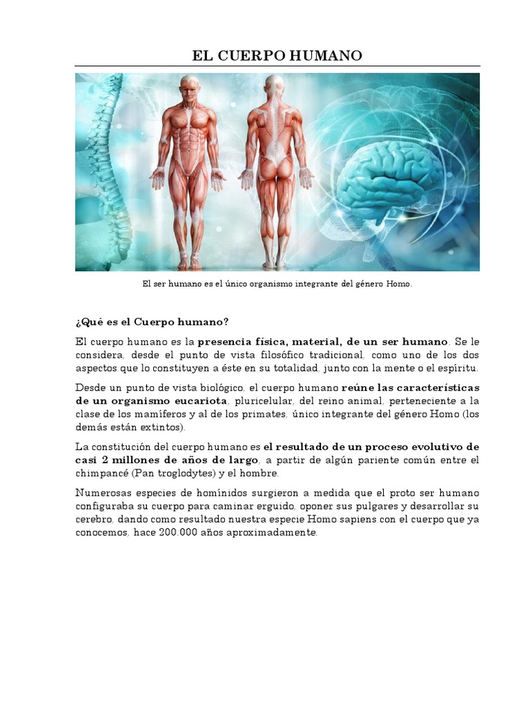 EL CUERPO HUMANO | PDF | Cuerpo humano | Homo Sapiens