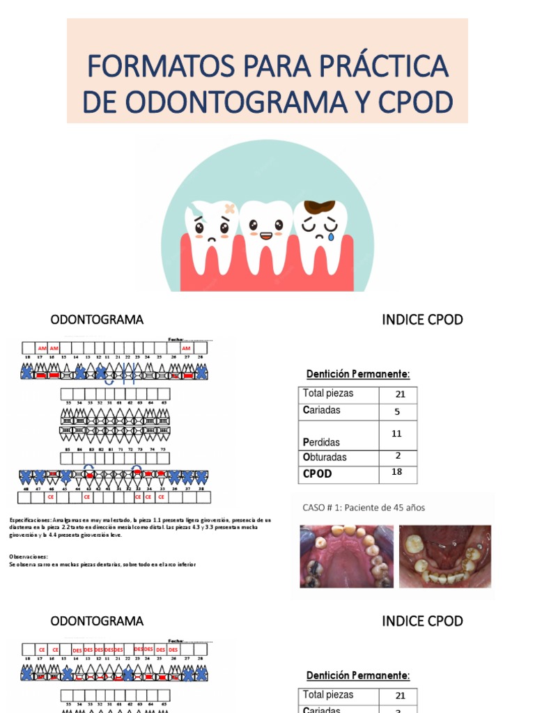 Formato estándar para registrar odontogramas y el índice CPOD en la ...