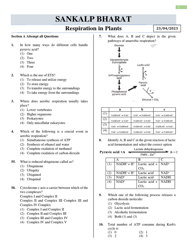 NEET MCQs on Plant Respiration | PDF | Cellular Respiration | Citric ...