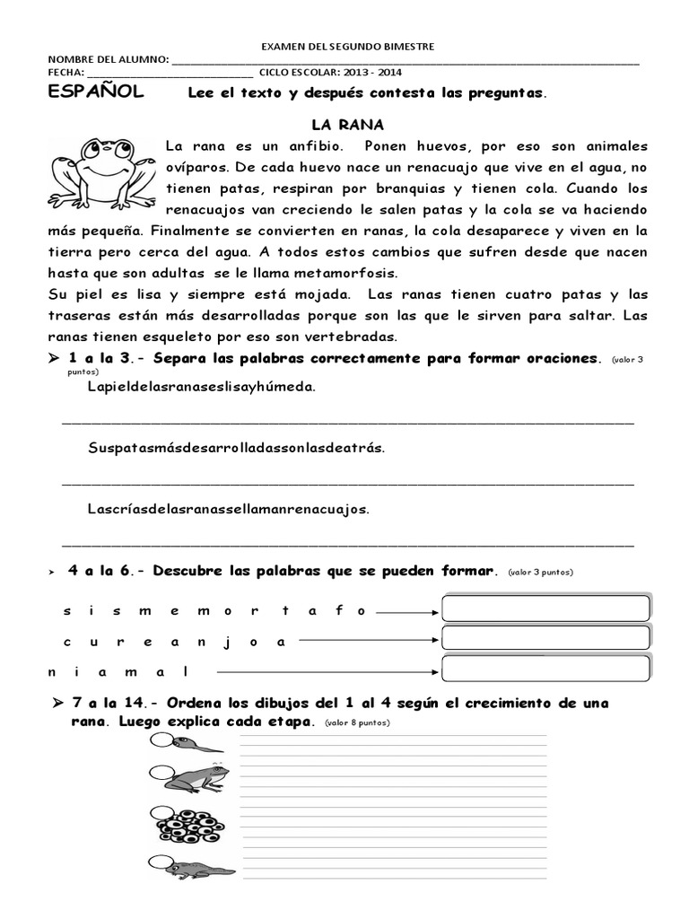 Examen Del Segundo Grado | PDF | Rana
