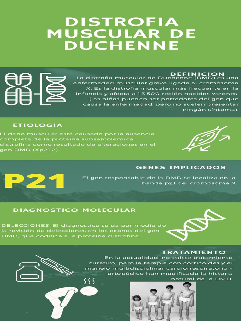 Distrofia Muscular de Duchenne | PDF