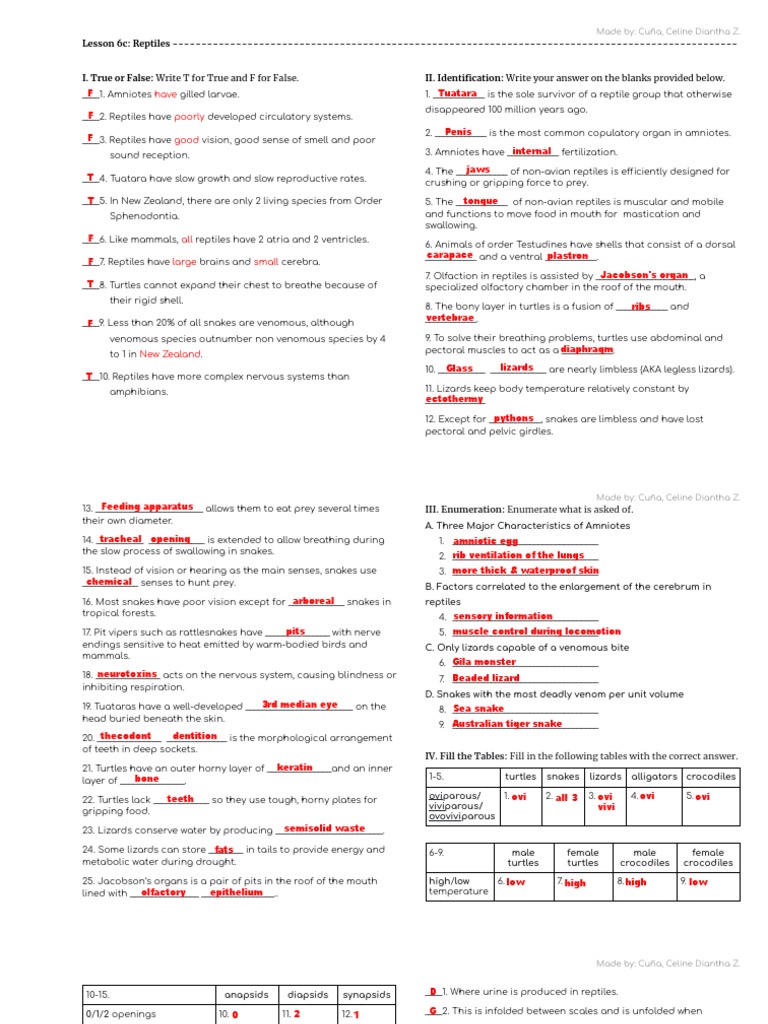 Answer Key - Reptiles | PDF | Reptile | Snake