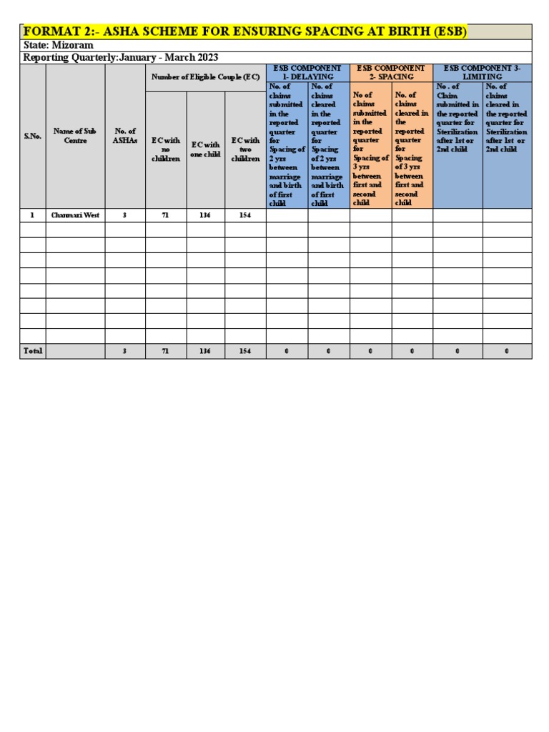 Asha HDC Format 2 | PDF
