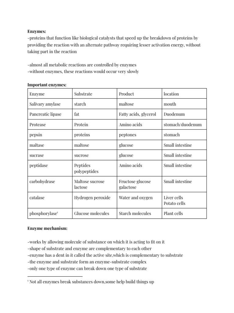 Enzymes-Chp 5 Igcse Biology | PDF | Enzyme | Glucose