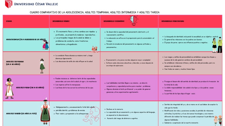 Cuadro Comparativo ADULTES TEMPRANA, INTERMEDIA Y TARDIA | PDF ...