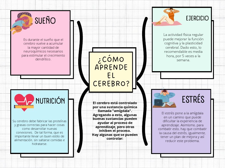 Como Aprende El Cerebro Pdf