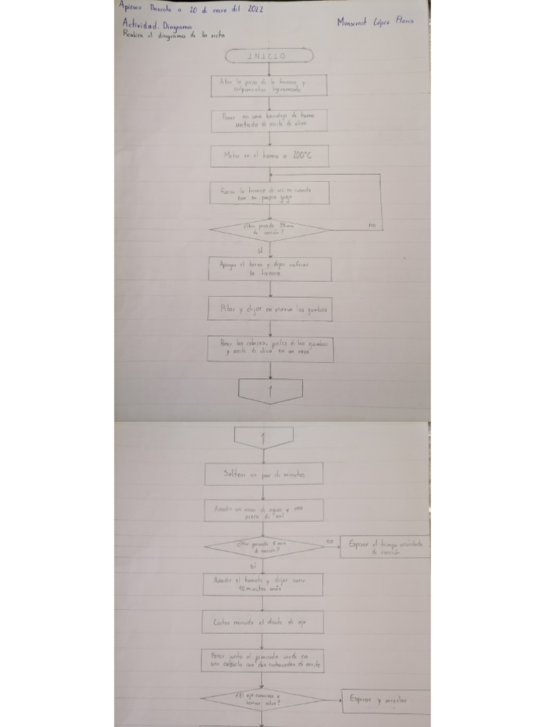 Diagrama de Flujo - Gambas | PDF