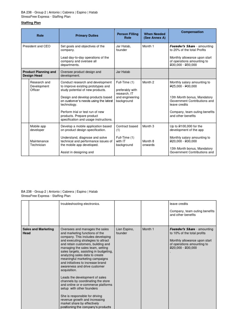BA238 - Staffing Plan - Group 2 | PDF | Sales | Marketing