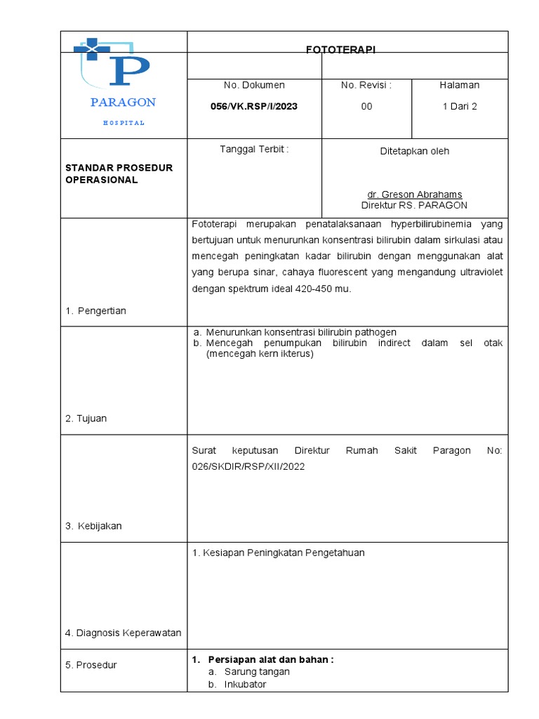 Fototerapi Bilirubin | PDF