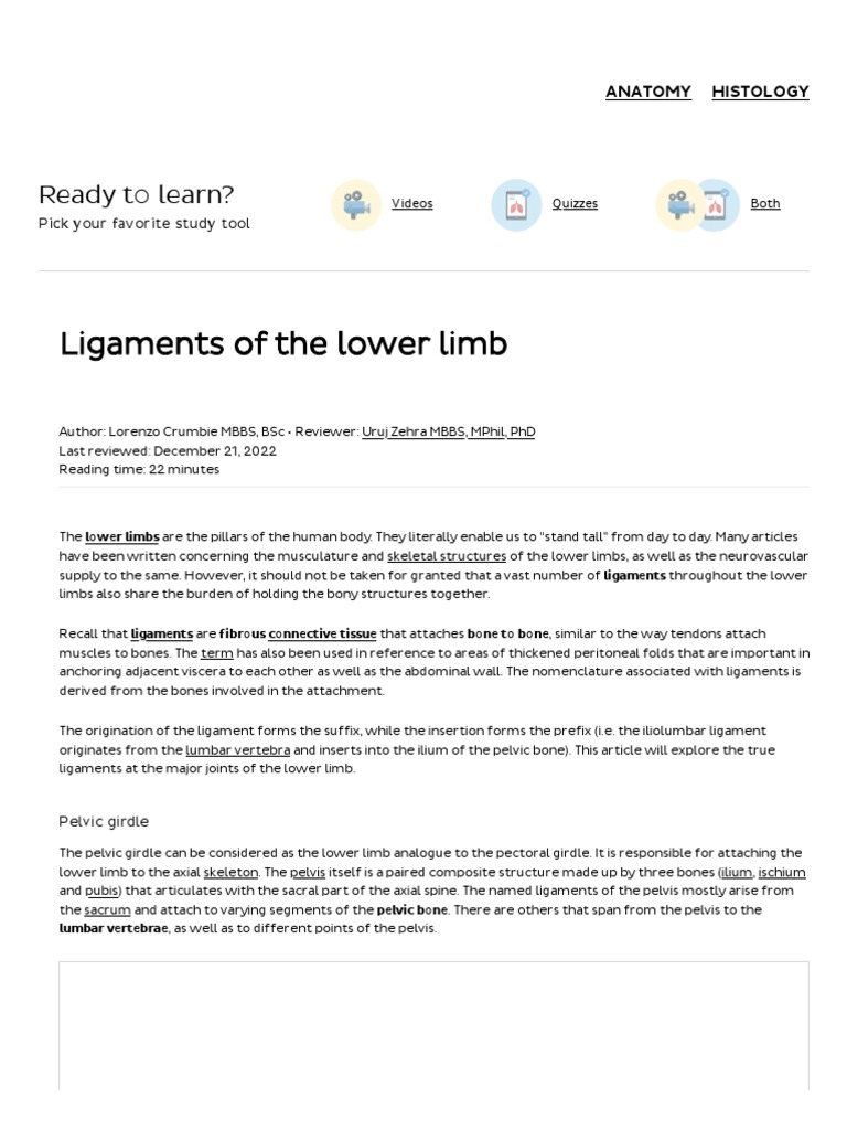 Ligaments of The Lower Limb | PDF