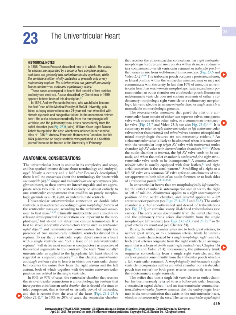 The Univentricular Heart | PDF | Ventricle (Heart) | Heart Valve