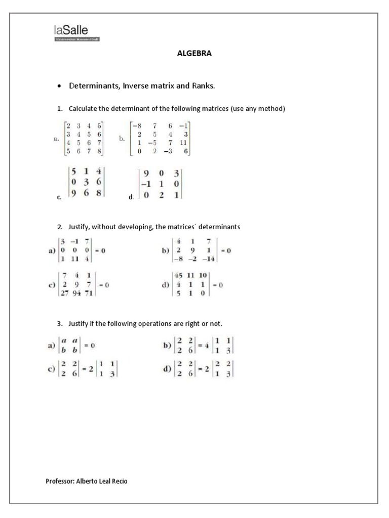 Determinants, Inverse Matrix and Rank (Exercises) | PDF