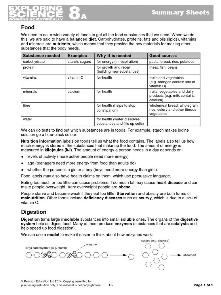 8A Summary Sheet | PDF | Food Energy | Foods