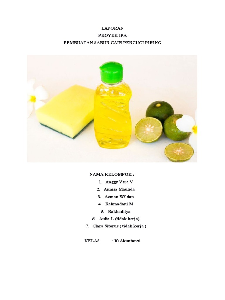 Pembuatan Sabun Cuci Piring | PDF