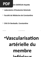 Vascularisation du membre inférieur | PDF | Main | Jambe humaine