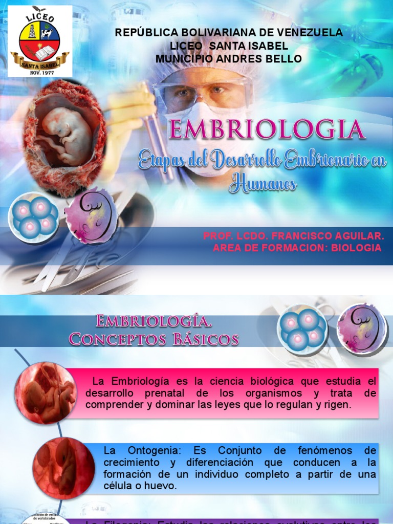 Desarrollo Embrionario: Etapas y Proceso | PDF | Embrión | Biología