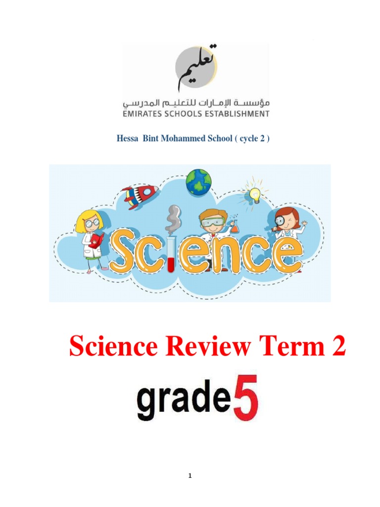 Grade 5 Science Water Review | PDF