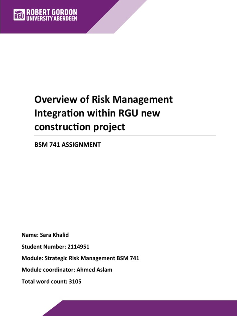 Final BSM 741 Assignment by Sara Khalid 2114951 | PDF | Risk | Sustainability
