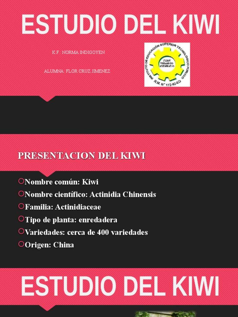 Diapositivas El Kiwi | PDF | Hogar, jardinería y bricolaje