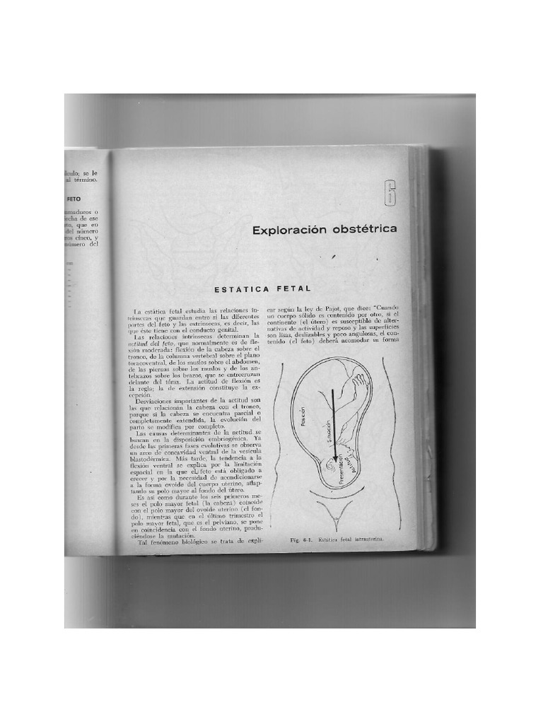 Uranga. Estatica Fetal y Examen Fisico de La Embarazada | PDF