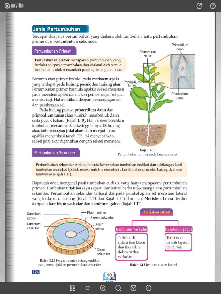 Buku Teks Biologi Tingkatan 5 KSSM | PDF