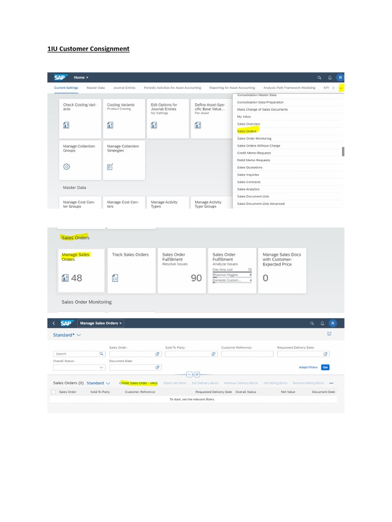 1IU Customer Consignment | PDF