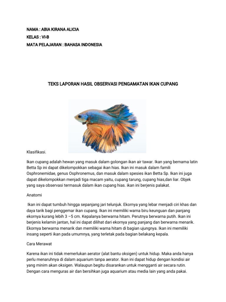 Abia - Observasi Ikan Cupang | PDF