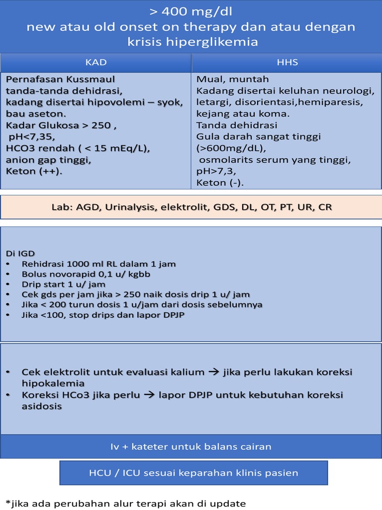 Protokol Tatalaksana Krisis Hiperglikemia | PDF