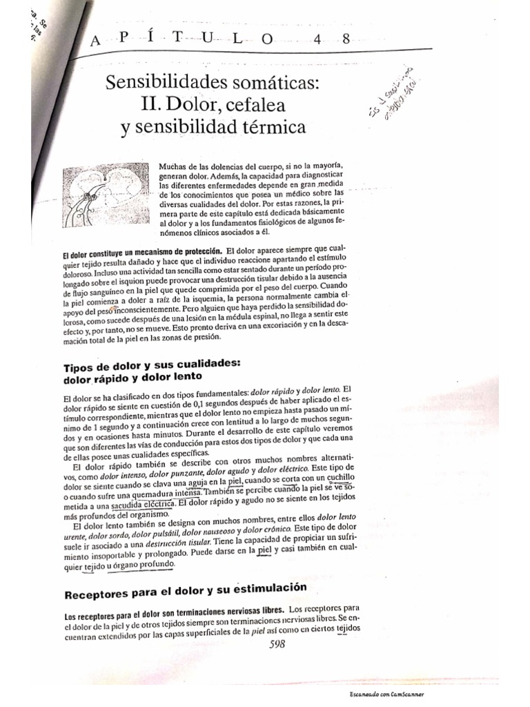 Capítulo 48neurofisiologia Del Dolor | PDF