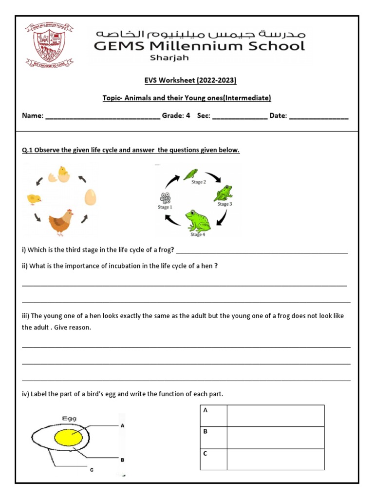 Animal and Their Young Ones - Intermediate | PDF