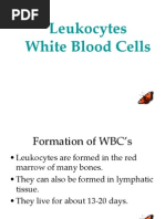 WBC Morphology | PDF | White Blood Cell | Granulocyte