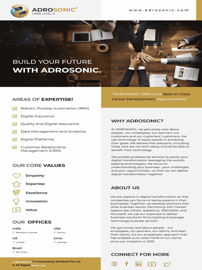 Adrosonic Company Profile | PDF | Customer Relationship Management ...