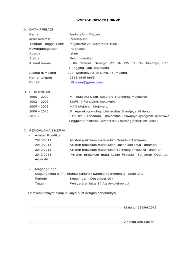 CV Andhita Umi Faizah | PDF